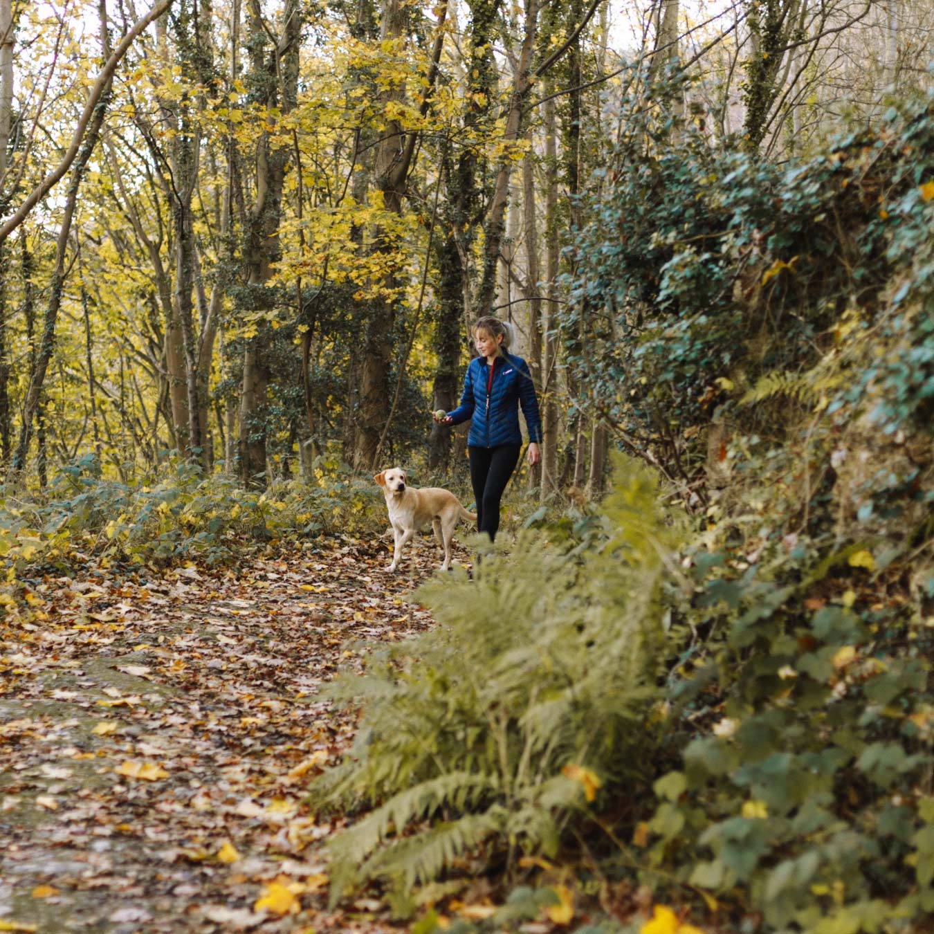 Home - The Westberry at Arbour Lake | The Westberry at Arbour Lake